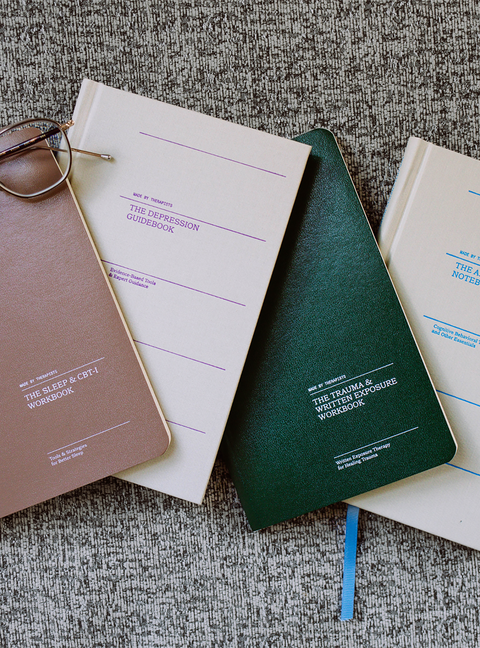 Therapy Notebooks Depression Guidebook – The Paper Bunny