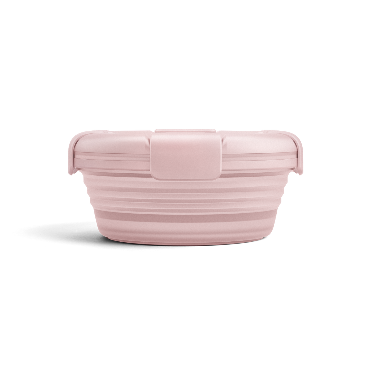 Stojo Collapsible Bowl (Translucent Carnation) – The Paper Bunny