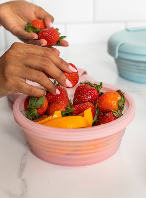 Stojo Collapsible Bowl (Translucent Carnation) – The Paper Bunny